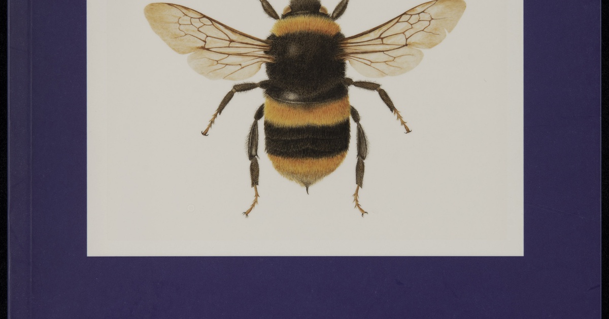 Brigid Edwards - Publications | Thomas Gibson Fine Art Ltd